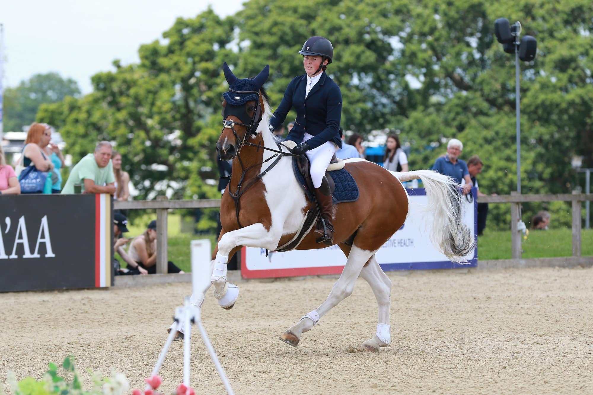 About – Kate Woolley Equine Services and Transportation